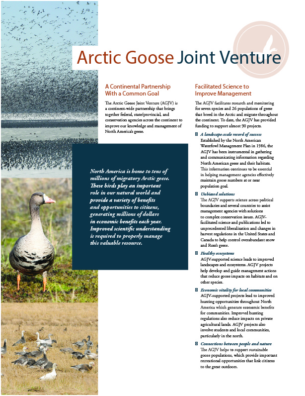 AGJV FactSheet January 2017 - Arctic Goose Joint Venture