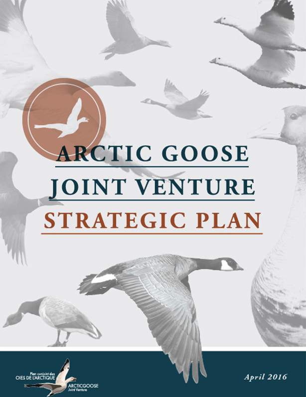 AGJV-Strategic-Plan-2016-FINAL - Arctic Goose Joint Venture