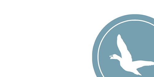 logo-bg - Arctic Goose Joint Venture