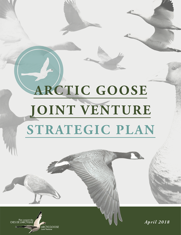 agjv2018 - Arctic Goose Joint Venture