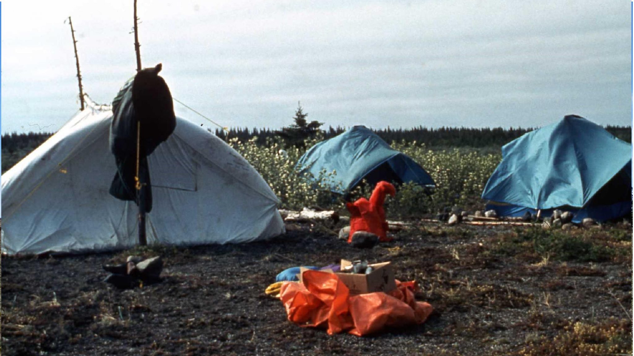 History of Goose Field Camps in Northern Canada - Arctic Goose Joint ...