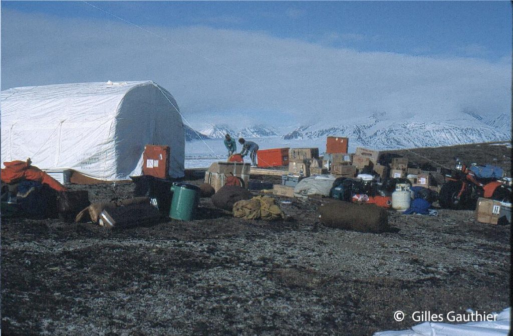History of Goose Field Camps in Northern Canada - Arctic Goose Joint ...